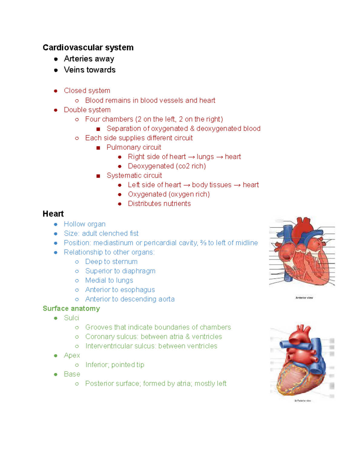 Lecture chapter 12- cardiovascular system - Cardiovascular system ...