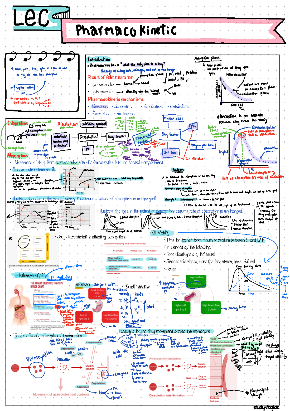 Pharmacology: topic pharmacokinetics - " ####### Pharmacokinetic ...