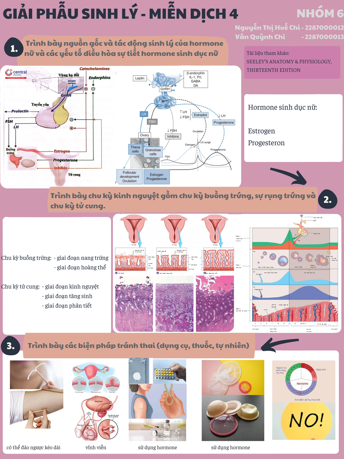 Thgpslmd 4-B5-Nhóm 6 - thực hành phải phẫu sinh lí - Trình bày nguồn ...