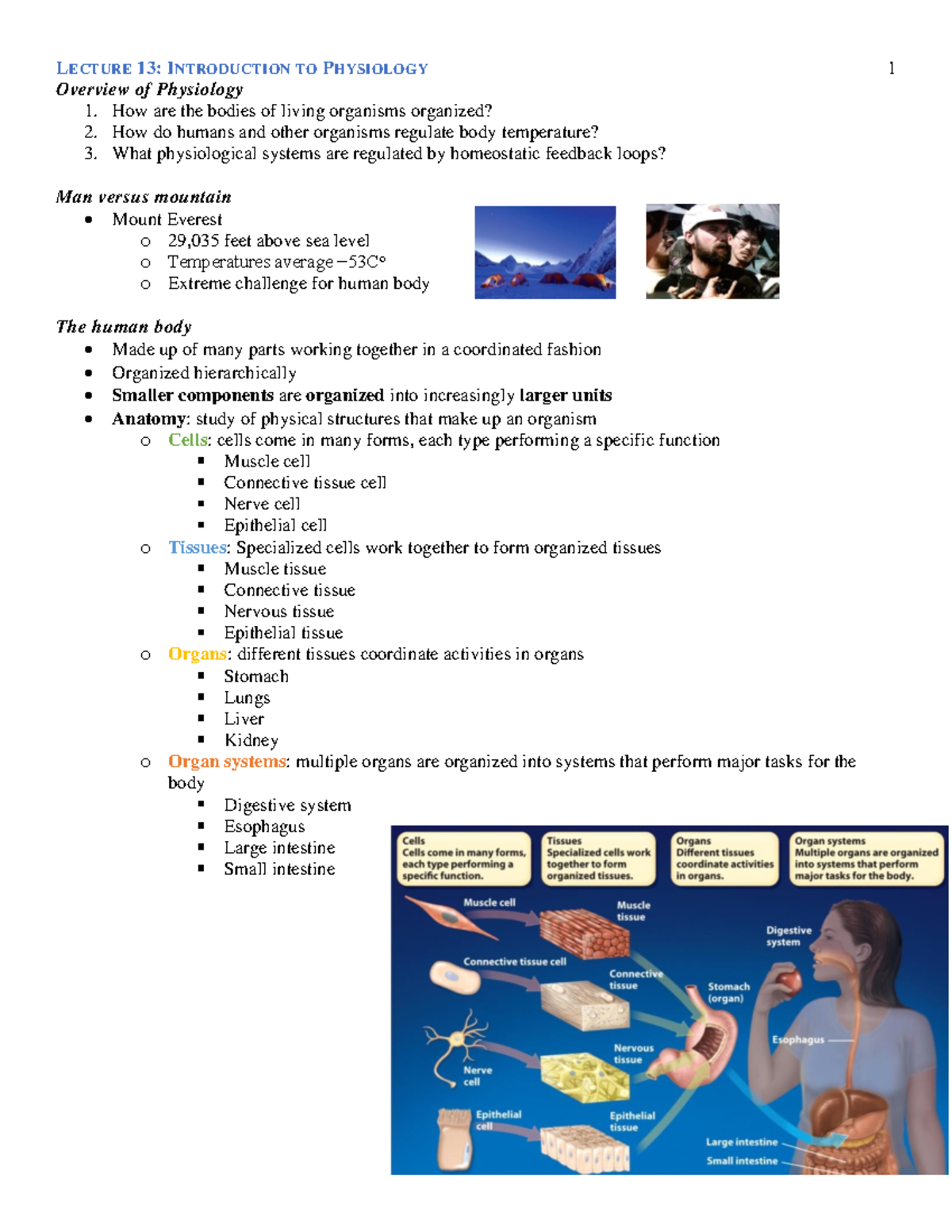 Lecture 13- Introduction to Physiology - Overview of Physiology 1. How ...