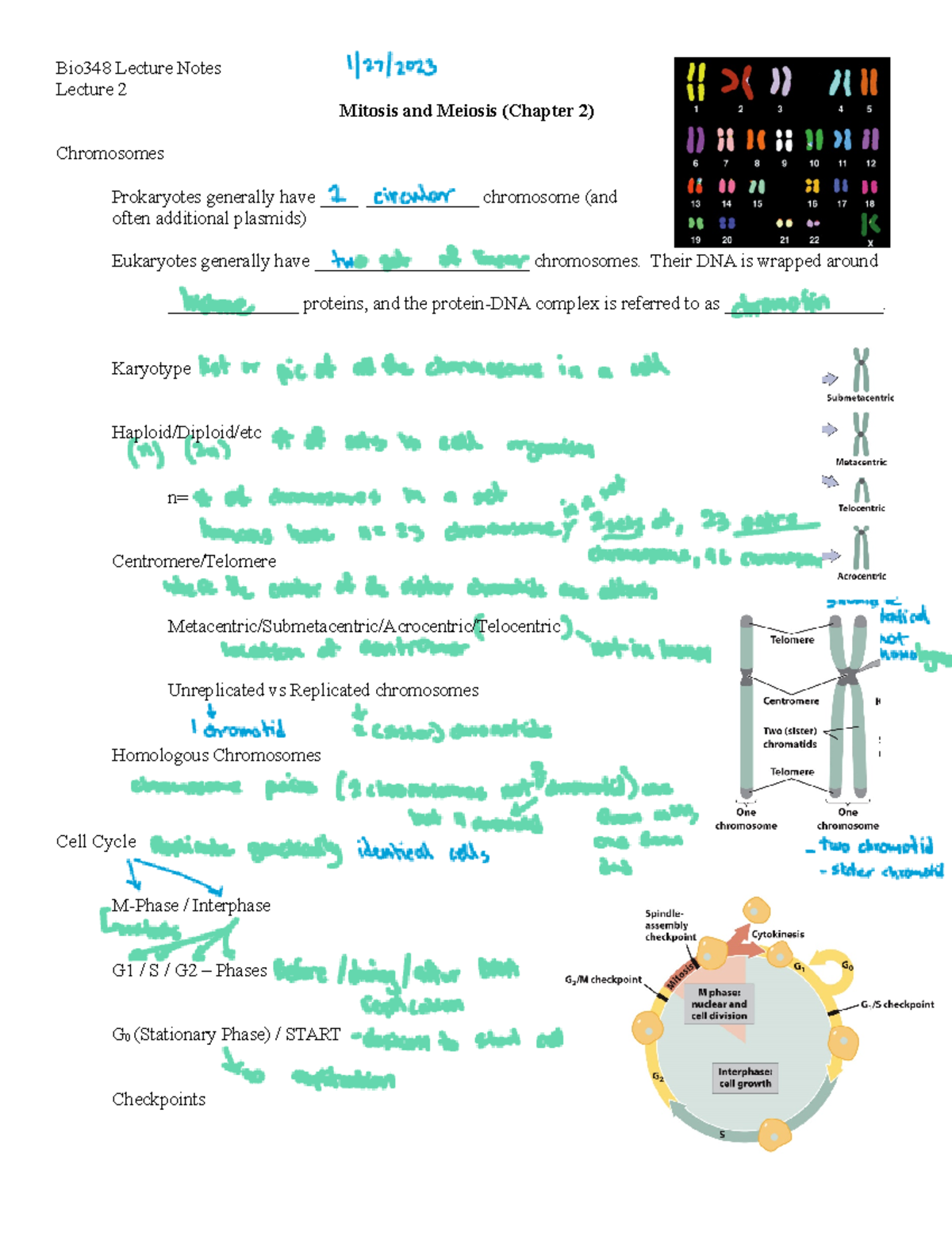 Lecture 02.Mitosis.Meiosis copy - Bio348 Lecture NotesLecture 2 Mitosis ... Lecture 02.Mitosis.Meiosis copy - Bio348 Lecture NotesLecture 2 Mitosis ...