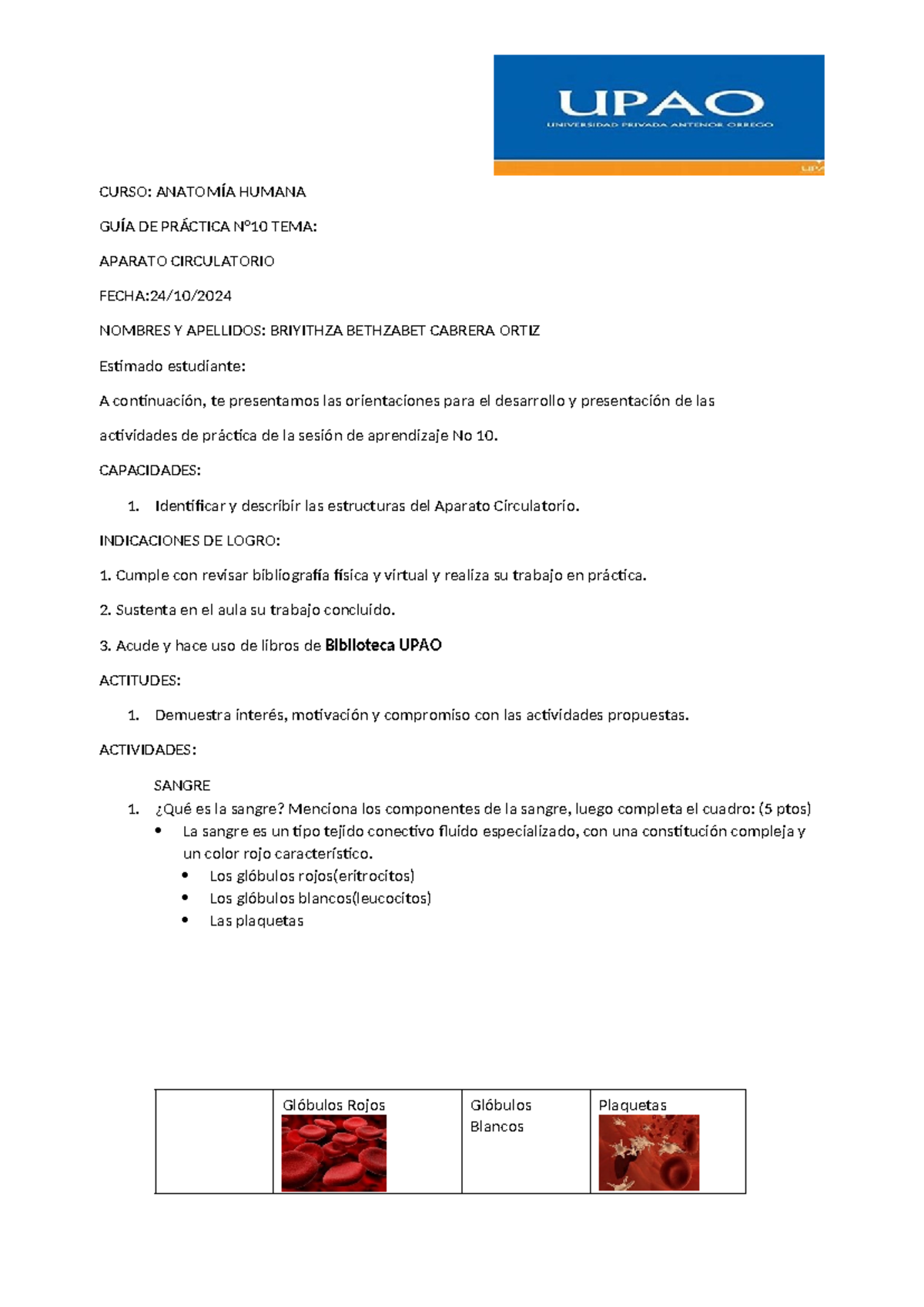 Annotated-Gu ADa 20Pr A1ctica C 2%B010B.docx (10 - CURSO: ANATOMÍA ...