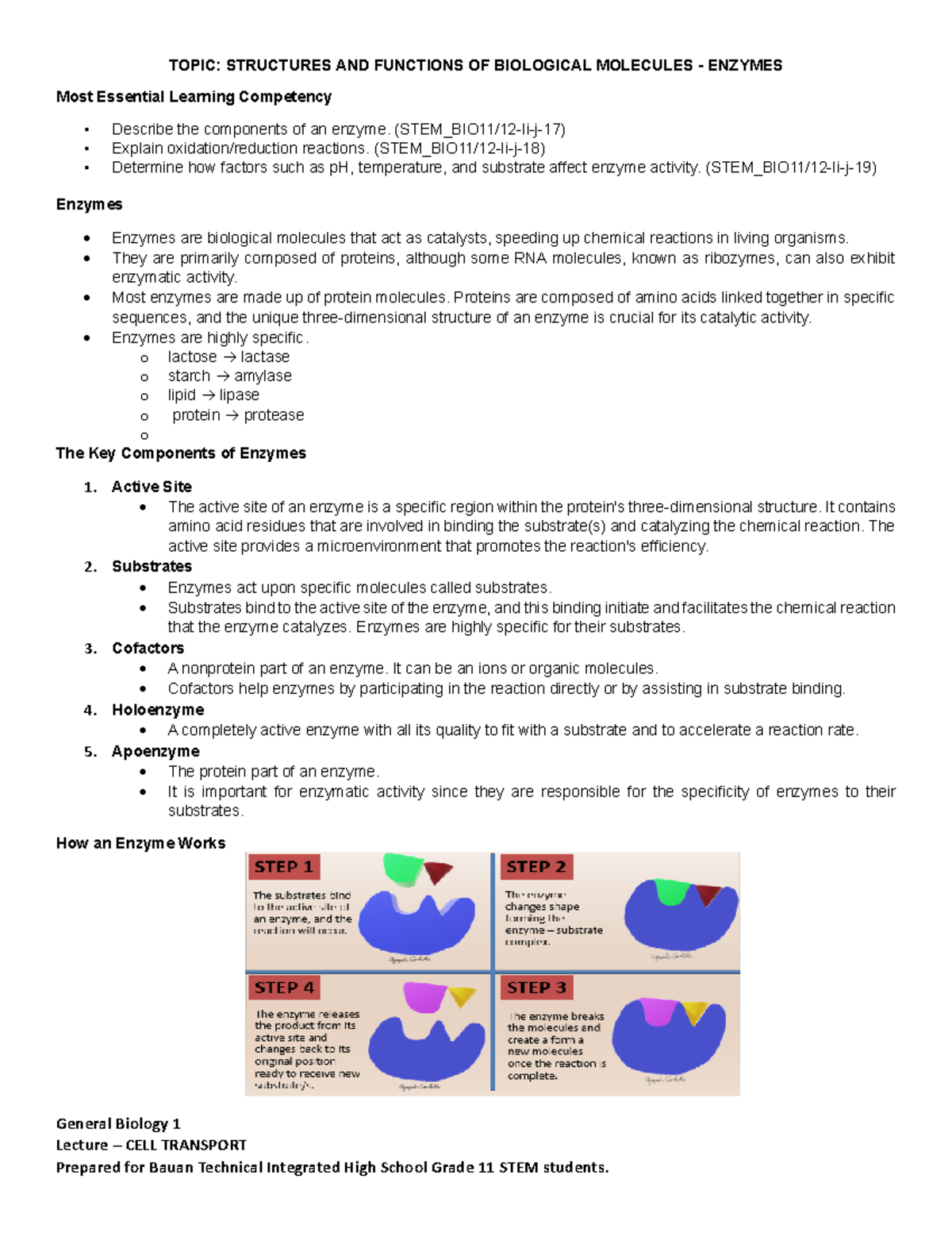 Handout- Enzymes - kkk - General Biology 1 Lecture – CELL TRANSPORT ...