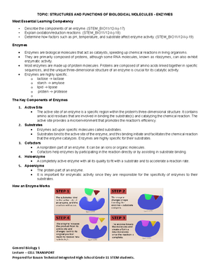 RMA Grade-2 Learner s-Booklet 13-June-2023 - RAPID MATHEMATICS ...