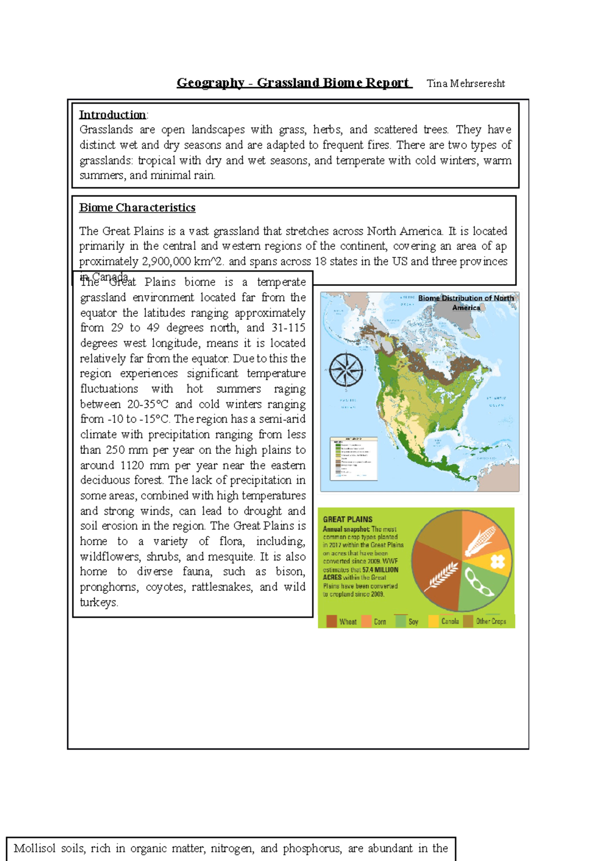 Geography Assessment Term 1 - BIOMES - Geography - Grassland Biome ...