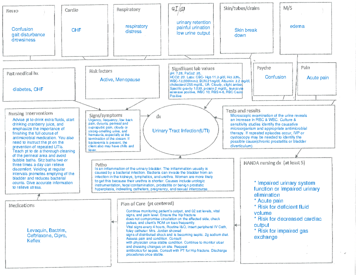 UTI Sample Concept map - NUR 110 - Studocu