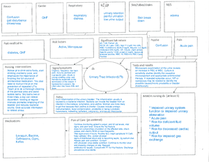 UIT Sample Nursing Care Plan - NUR 110 - Studocu