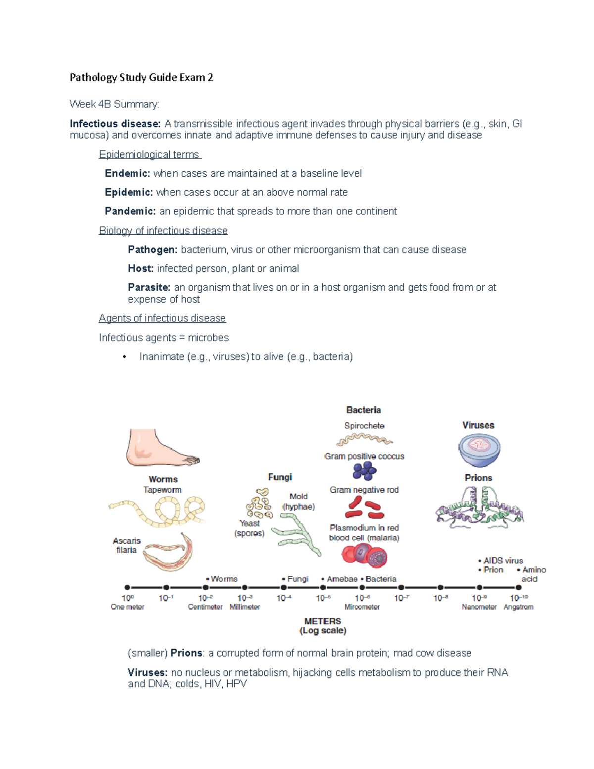 Pathology Study Guide Exam 2 - , skin, GI mucosa) and overcomes innate ...