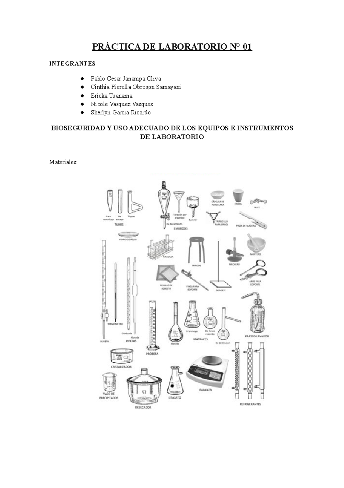 Práctica De Laboratorio N° 1 Y Tarea Calificada 1 PrÁctica De