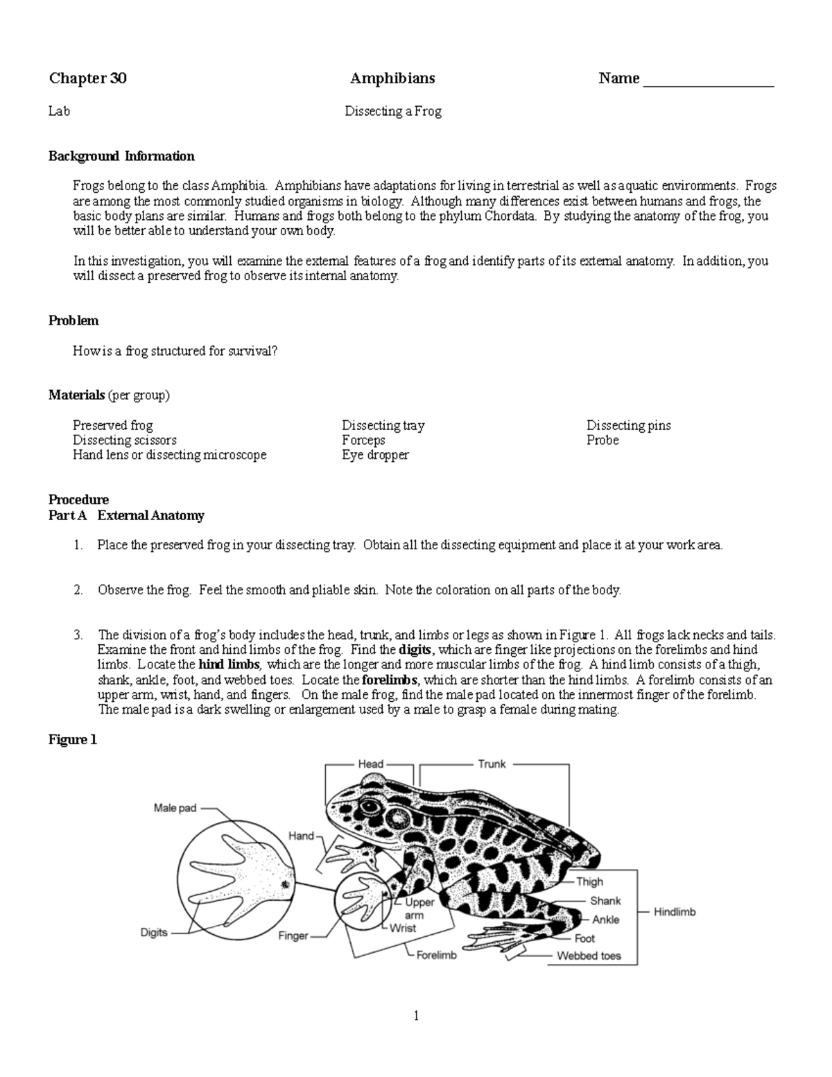 Frog Dissection additional information - Chapter 30 Amphibians Name ...