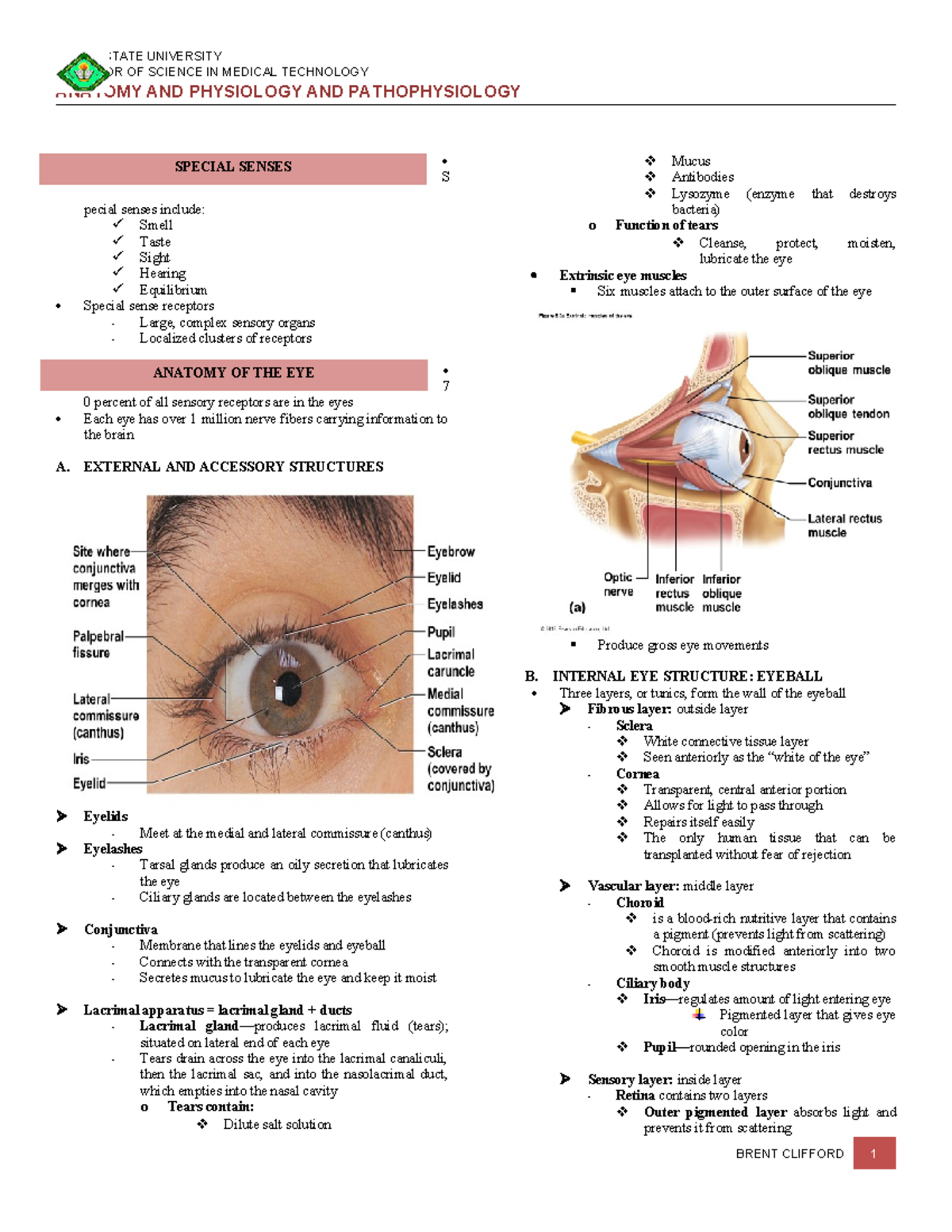 Special Senses - Human Anatomy and physiology with pathophysiology ...