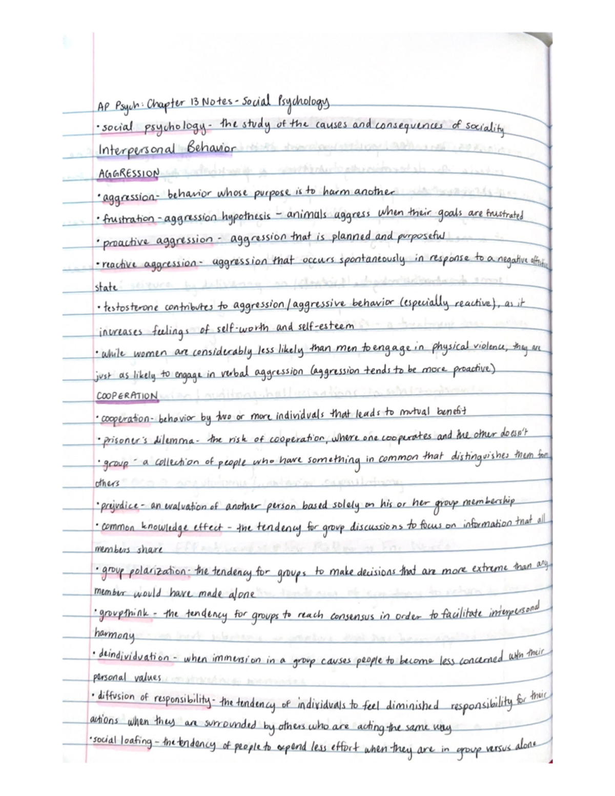 Chapter 13 Notes - Social Psychology - Studocu