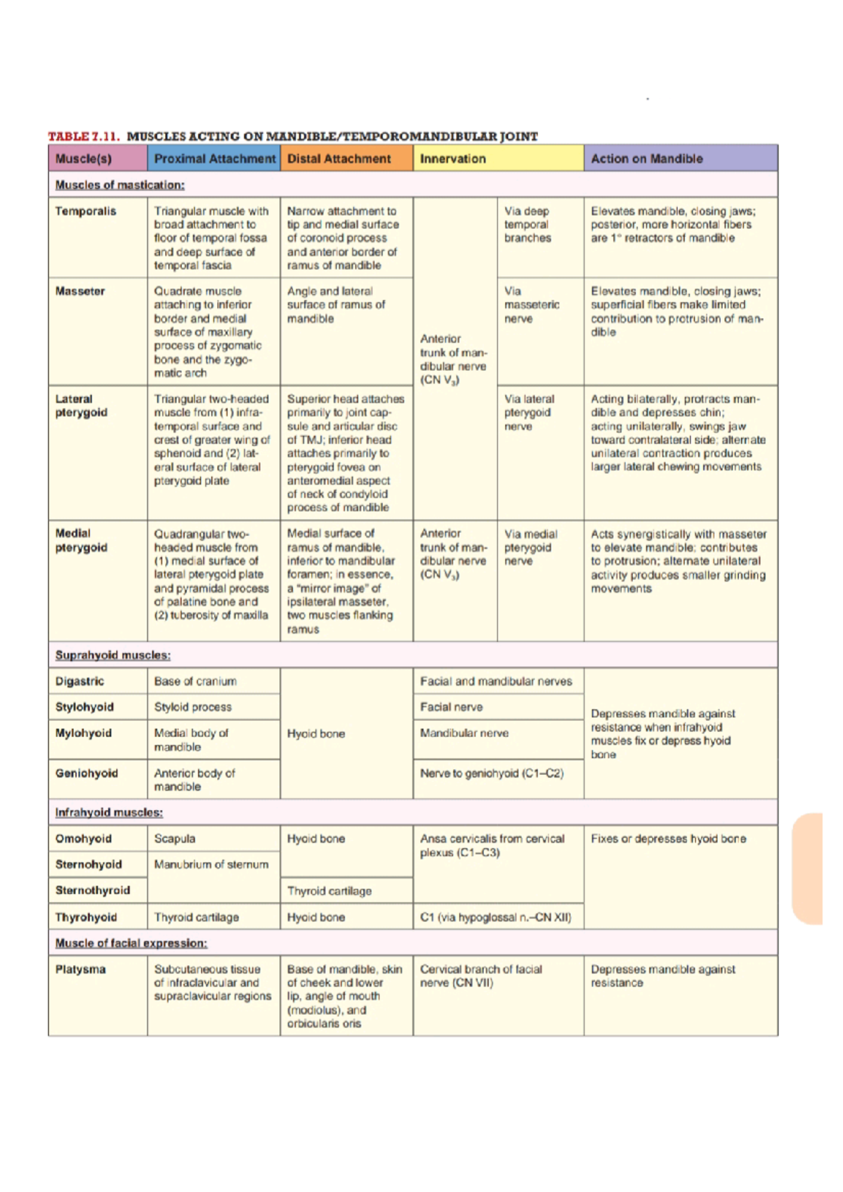 Klm muscle tables - Bachelor of Medicine and Bachelor of Surgery - Studocu