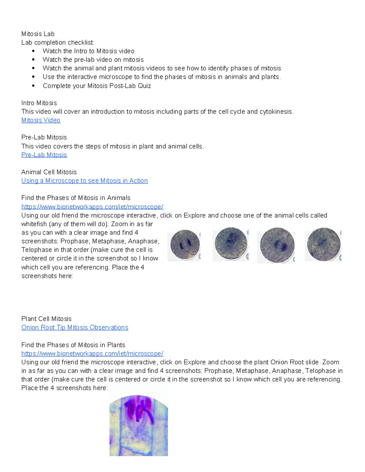 Mitosis lab modified - lab - Mitosis Lab Lab completion checklist ...