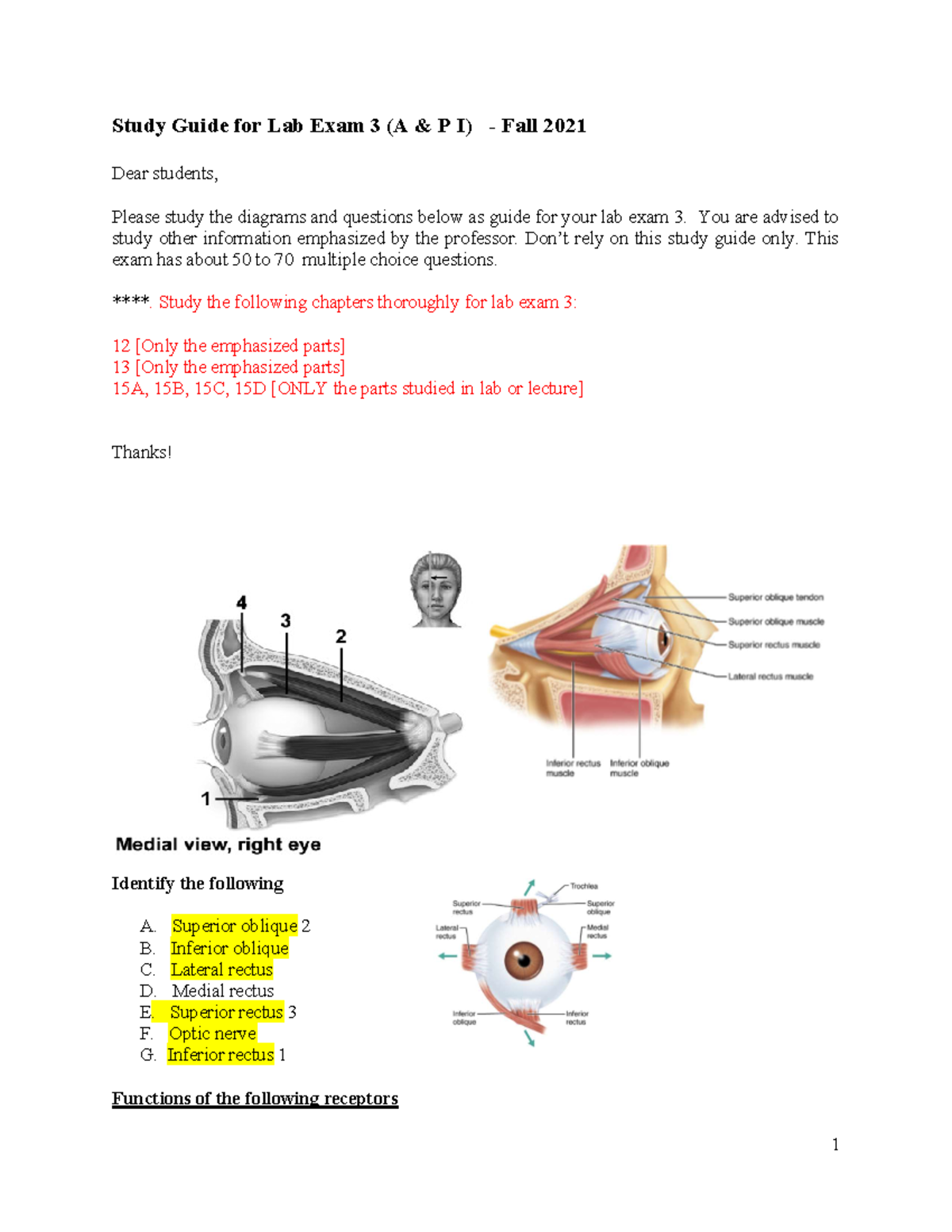 Lab Test 3 - No describe - Study Guide for Lab Exam 3 (A & P I) - Fall ...