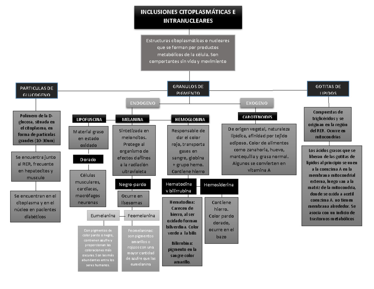 INLCUSIONES CELULARES. MAPA CONCEPTUAL - INCLUSIONES CITOPLASMÁTICAS E ...