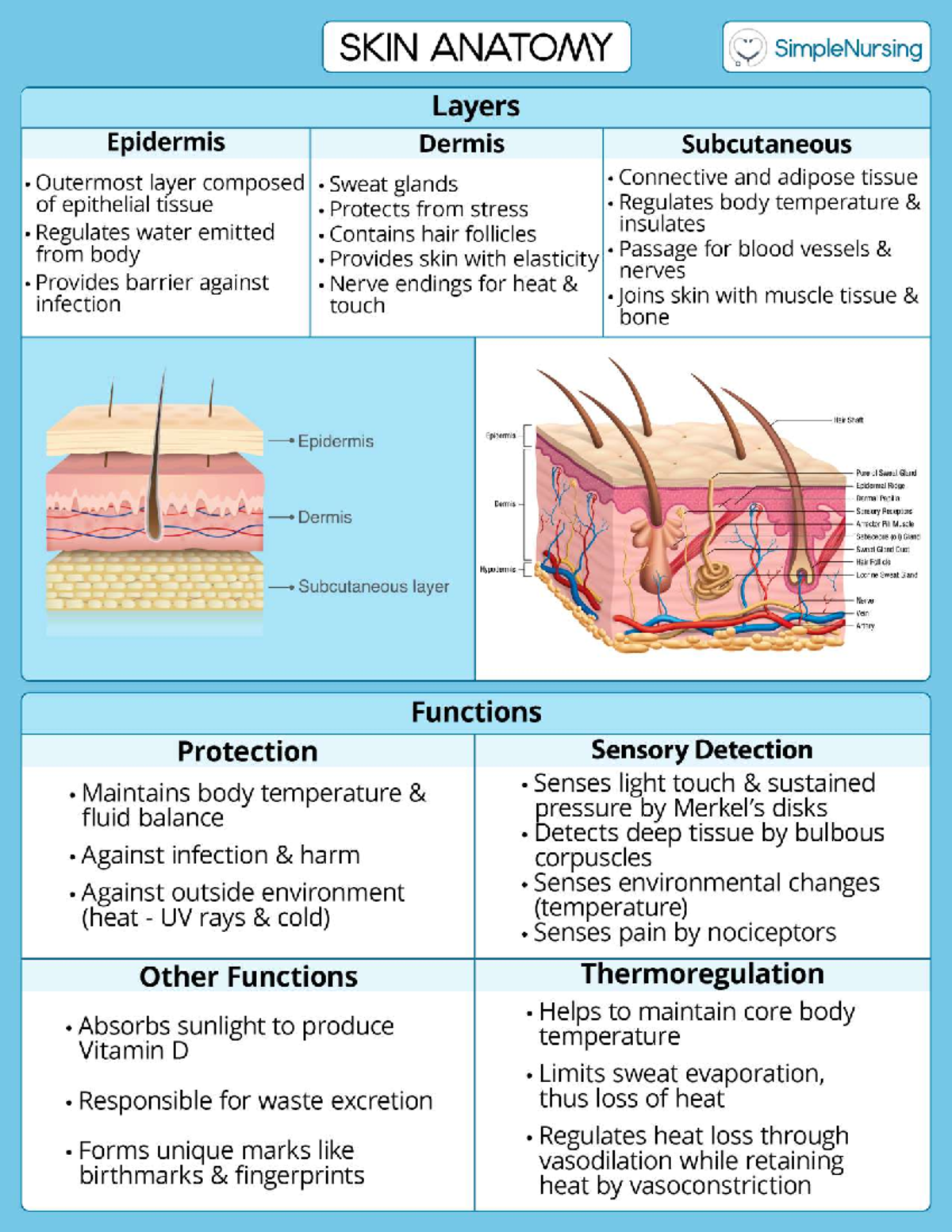 11. Skin - notes - NUR 3125 - Studocu