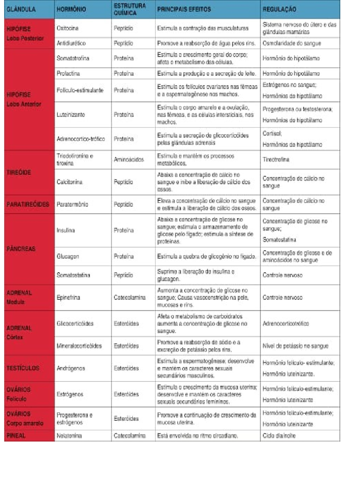 Tabela de hormonios - GLÂNDULA HORMÔNIO ESTRUTURA QUÍMICA PRINCIPAIS ...