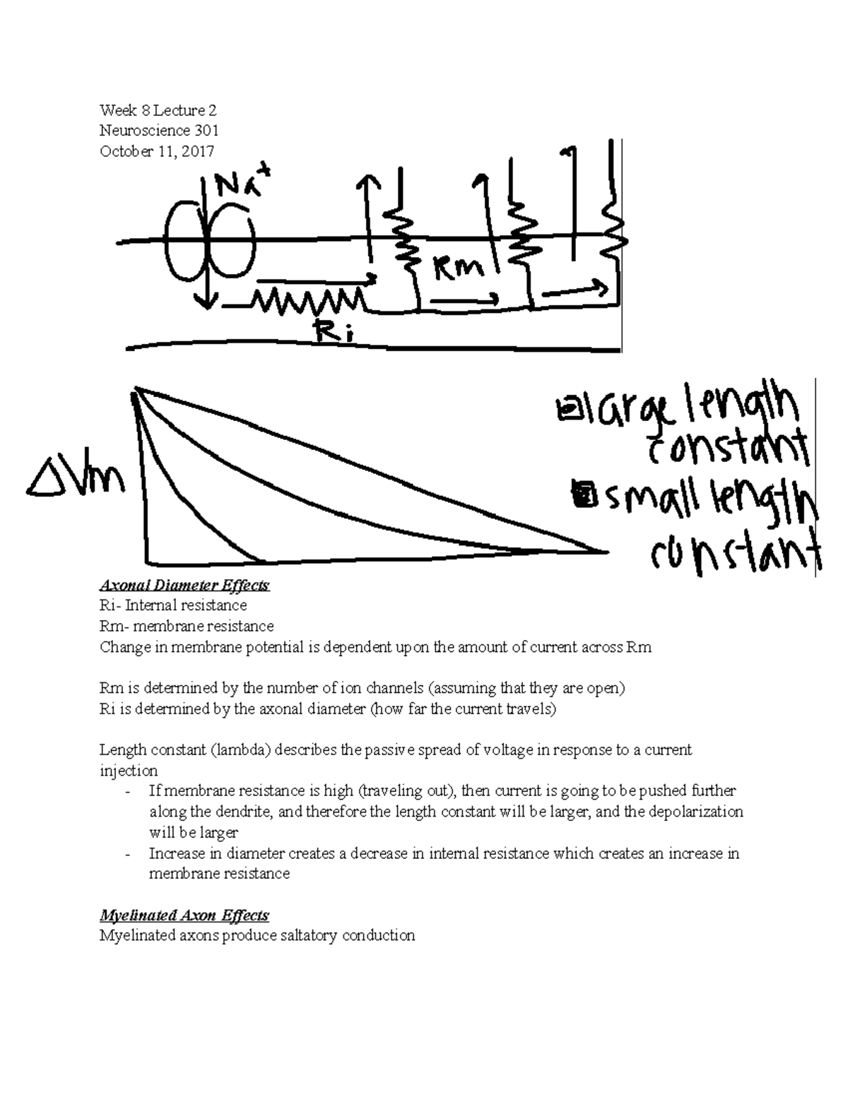Week 8 Lecture 2 - Week 8 Lecture 2 Neuroscience 301 October 11, 2017 Axonal Diameter Effects ...