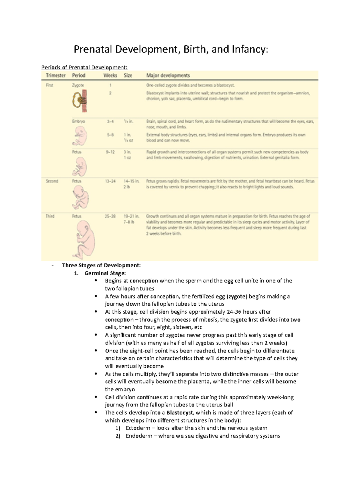 Prenatal and Perinatal Psychology and Newborns - Prenatal Development ...