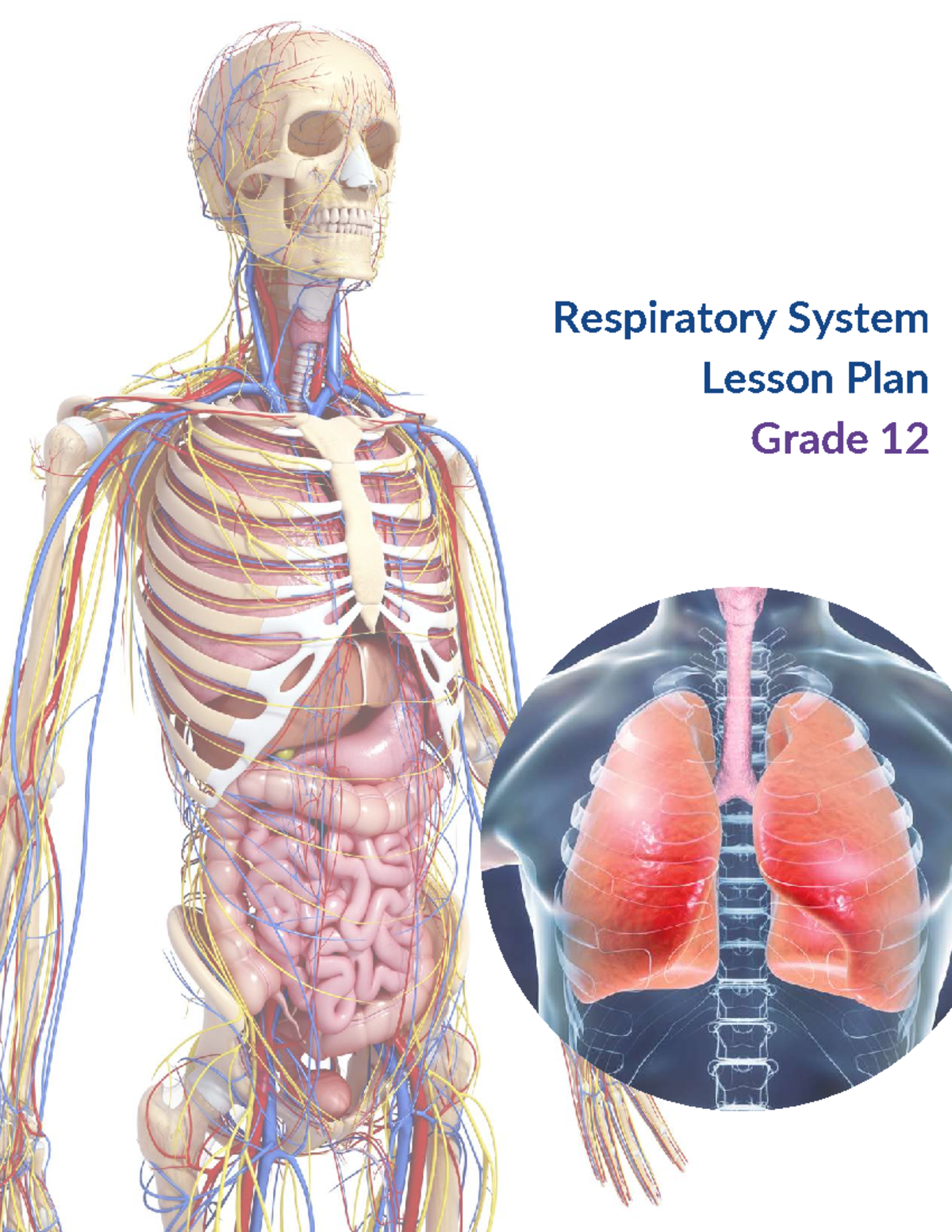 Humane science human respiratory grade 12 lesson plan - Respiratory ...