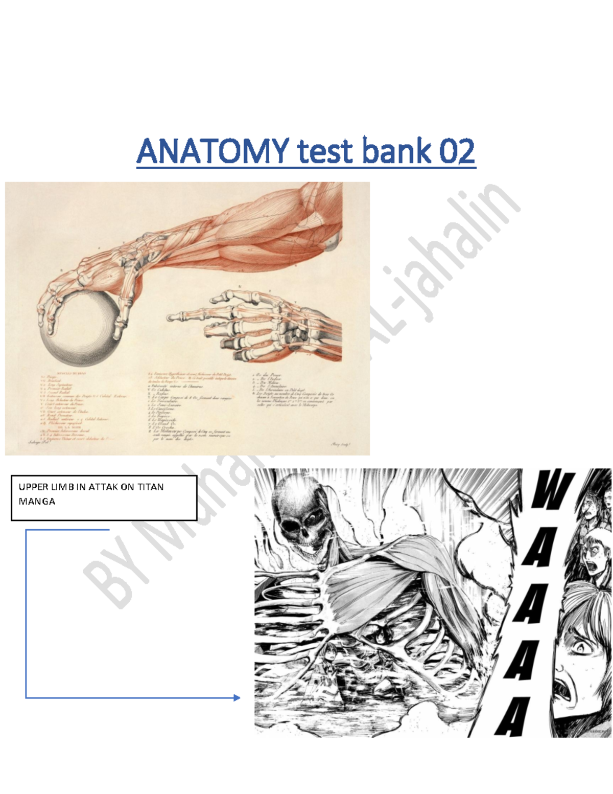 Test-bank - ANATOMY test bank 0 2 UPPER LIMB IN ATTAK ON TITAN MANGA ...
