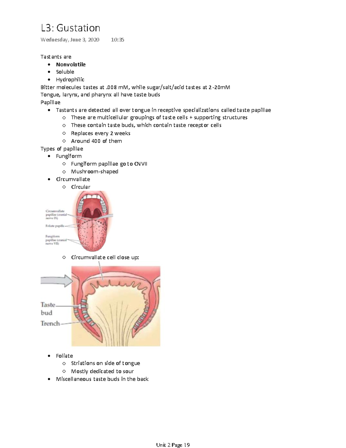 Unit 2 Lecture 3 Gustation - Tastants are Nonvolatile Soluble ...