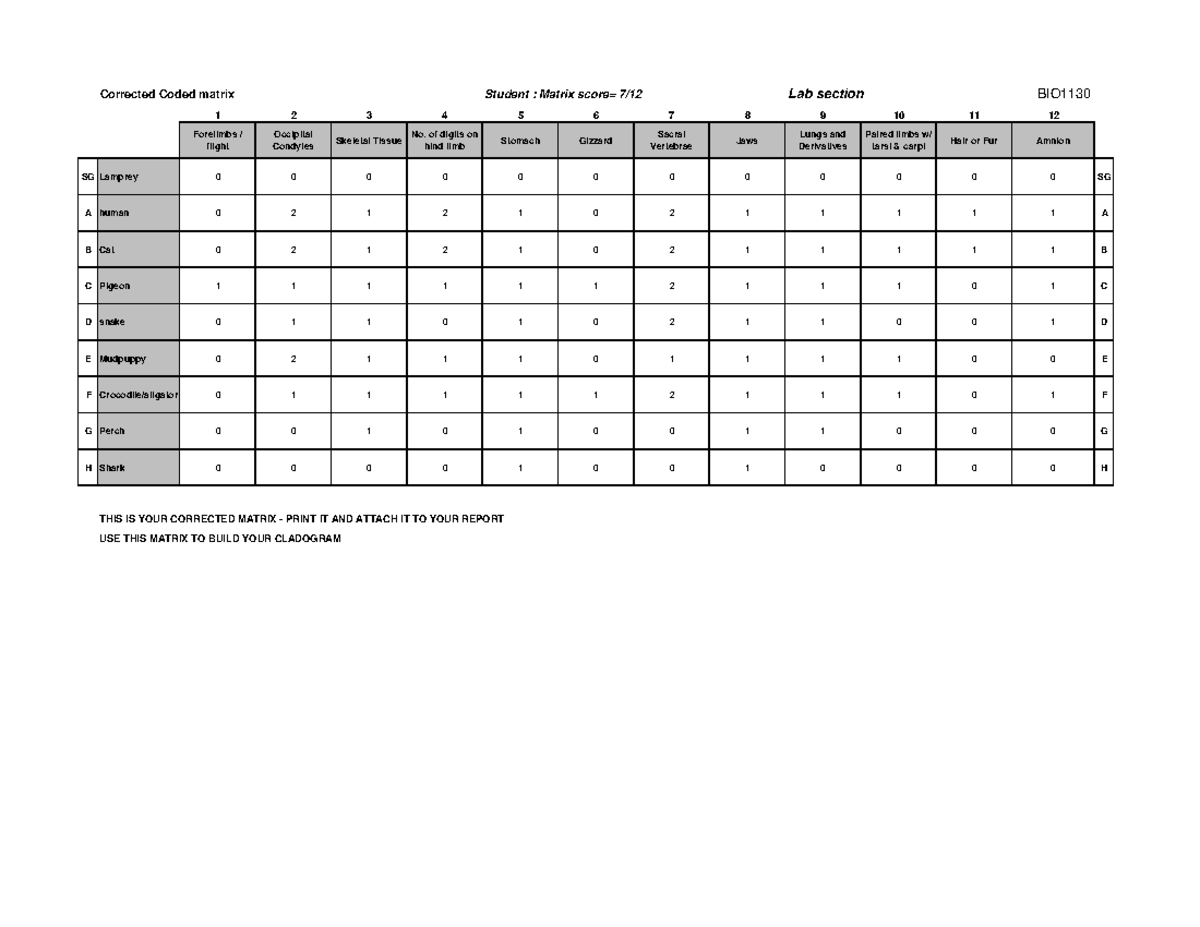 Matrix Lab 4 phylogeny - Corrected Coded matrix Student : Matrix score ...