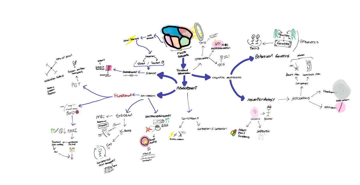 Mind map psyc 101 - micro Action Potentials anti same stronics I 100 ...