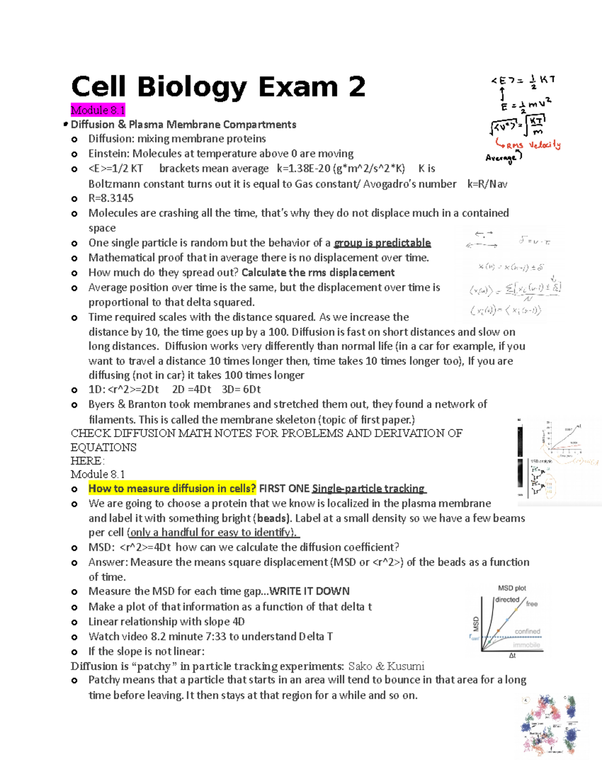 Cell Biology Exam 2 - Diffusion & Plasma Membrane Compartments o ...