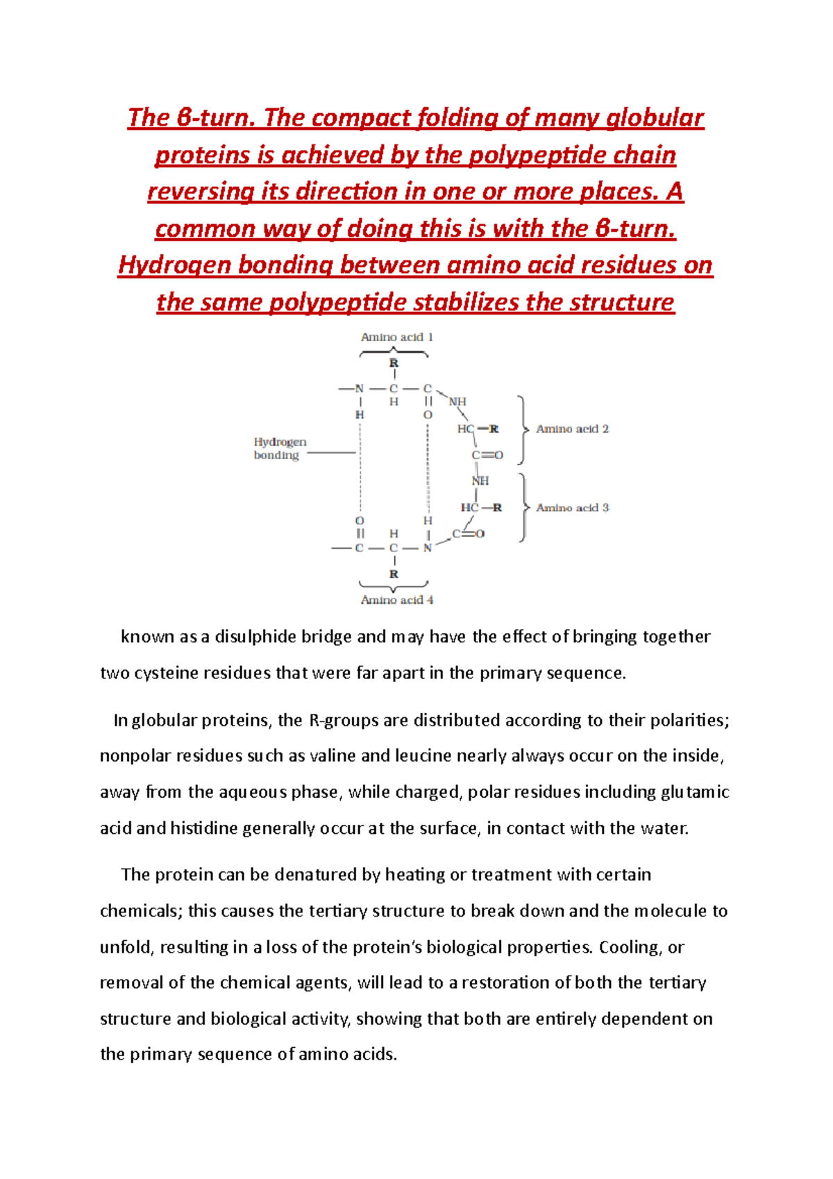 The β-turn. The compact folding of many globular proteins is achieved ...