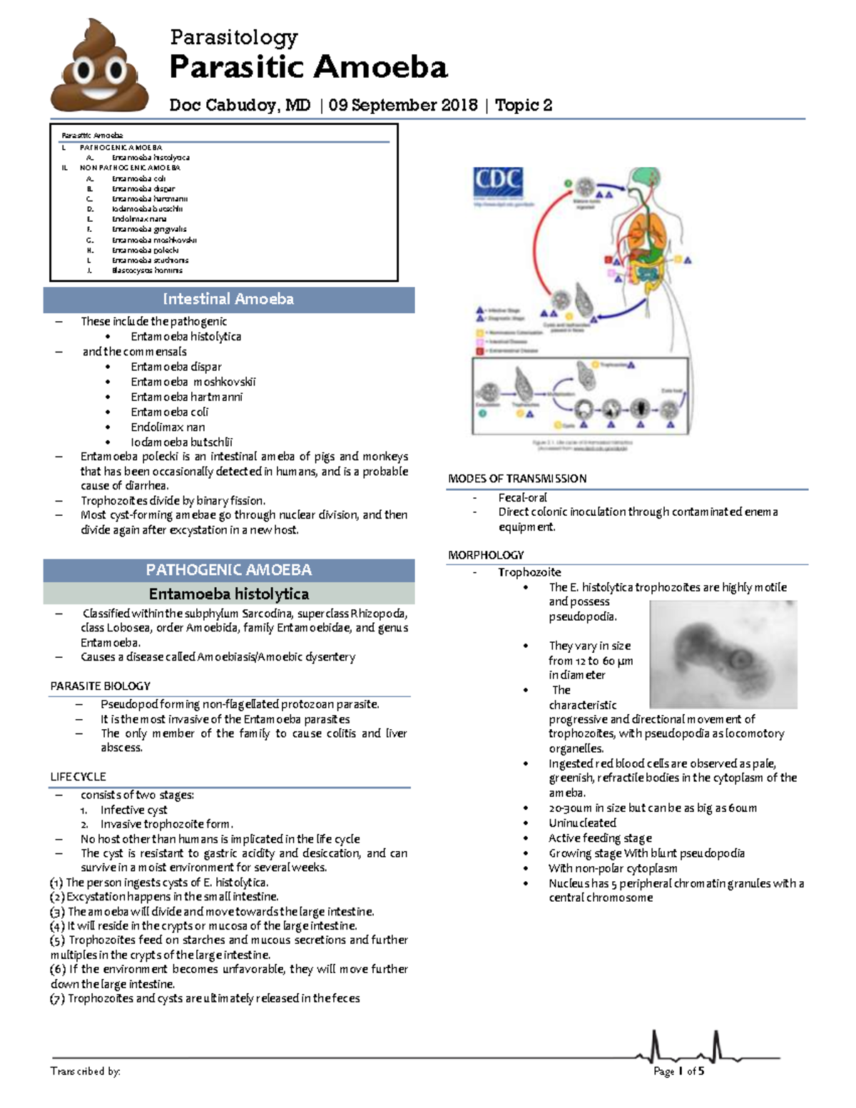 PAR201 S1T2 Prelim Parasitic Amoeba 2021 - Transcribed by: Page 1 of 5 ...