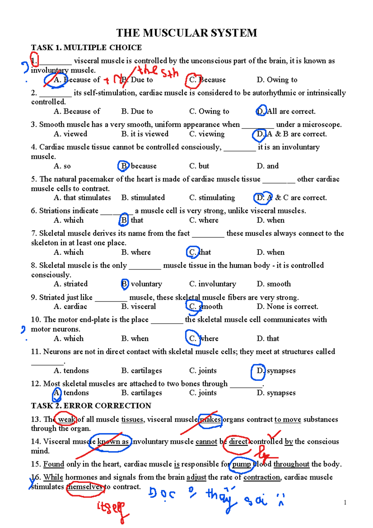 Handout- Muscular System - 1 THE MUSCULAR SYSTEM TASK 1. MULTIPLE ...