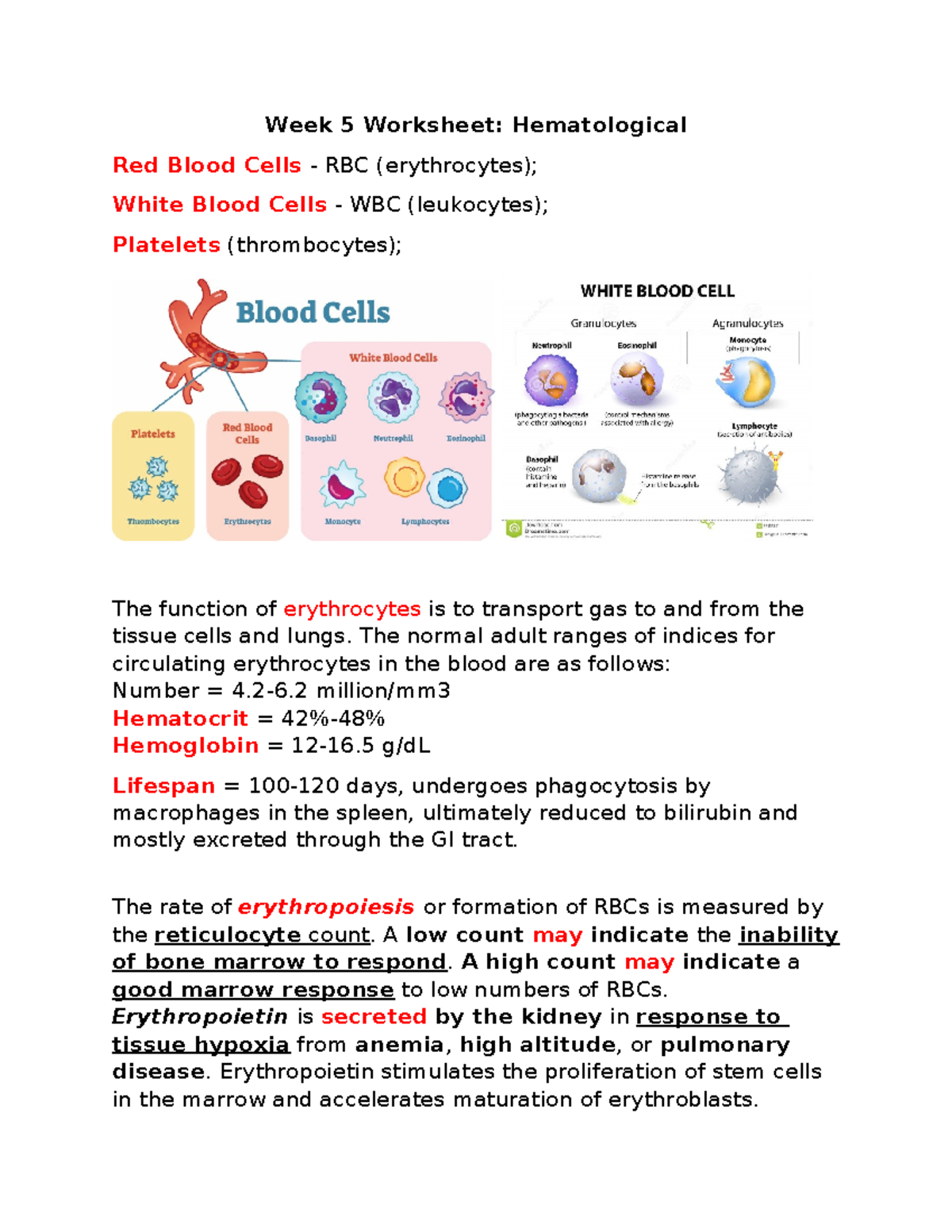 NURS711 Worksheets Week 5 - Week 5 Worksheet: Hematological Red Blood ...