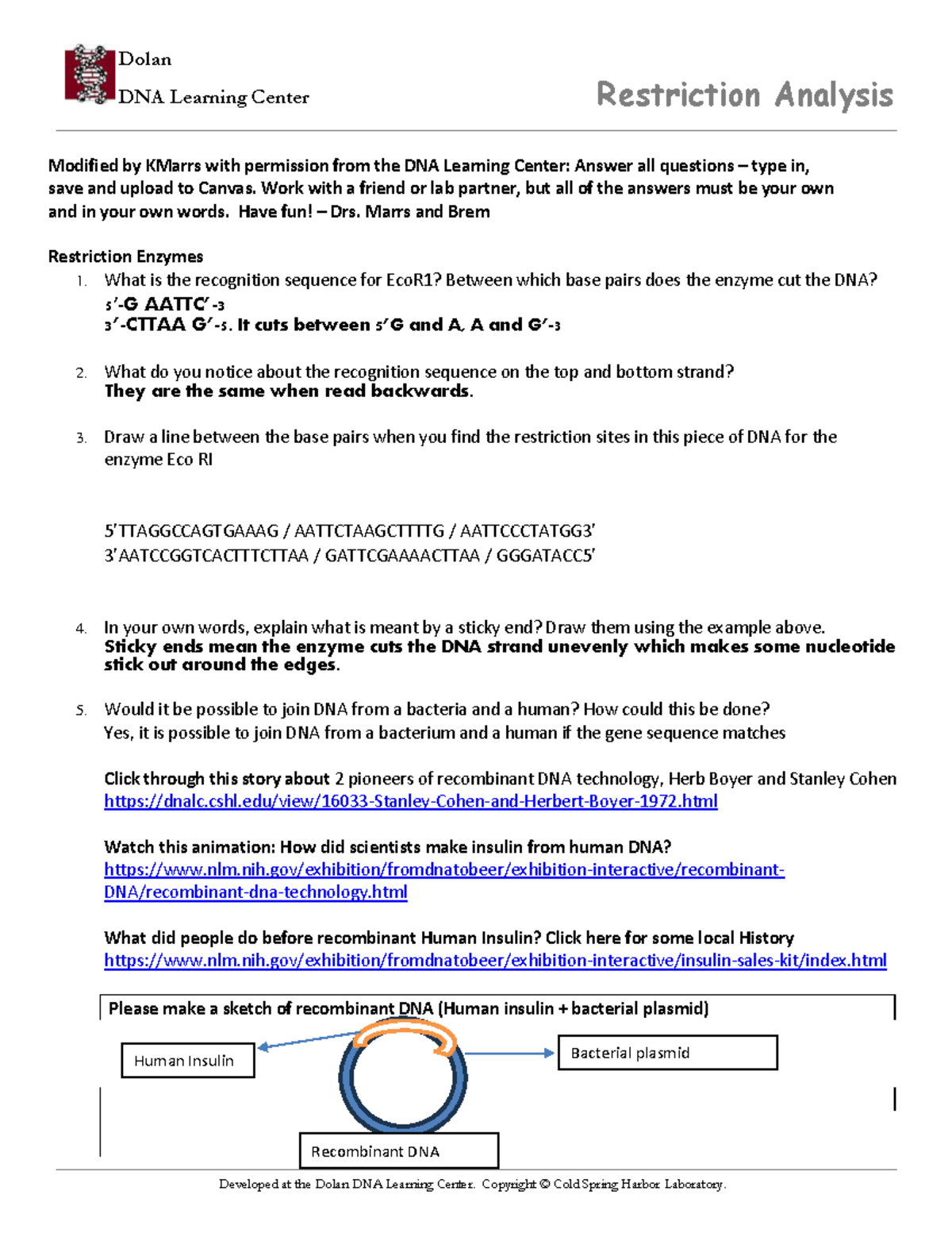 Lab 10 Restriction Enzyme and Electrophoresis Assignment KM Modified - DNA Learning Center - Studocu