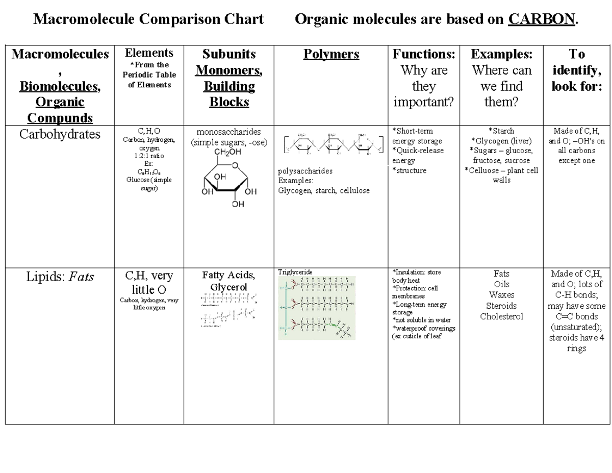 Biomoleculechartcompleted - Macromolecule Comparison Chart Organic ...
