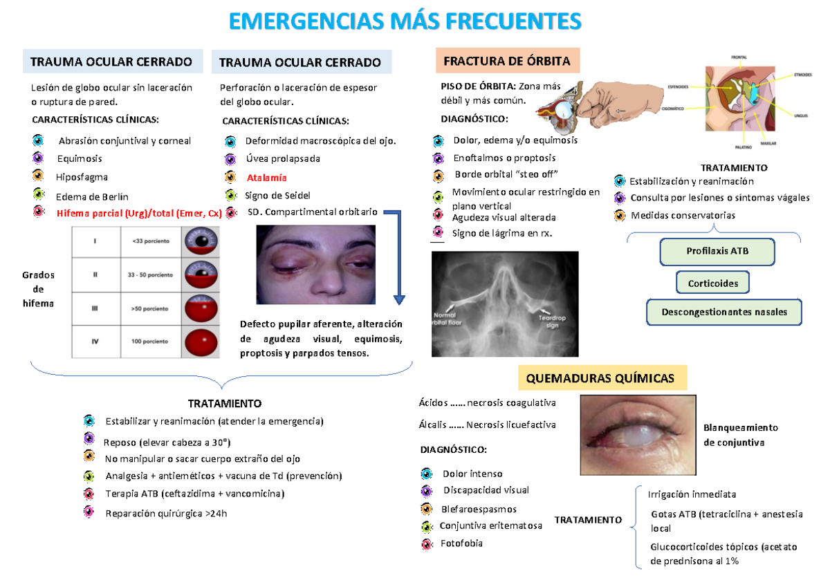 Emergencias oculares - EMERGENCIAS MÁS FRECUENTES TRAUMA OCULAR CERRADO ...