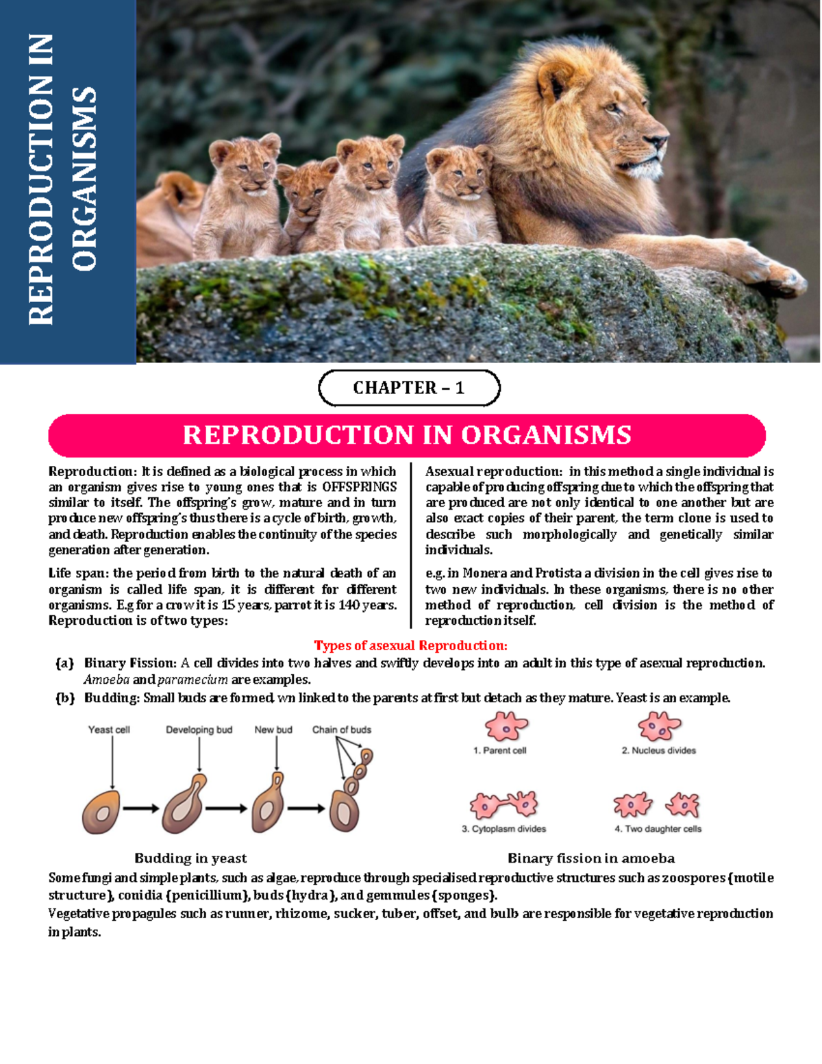 Reproduction in Organisms easy notes (Biology plus 2) - Reproduction ...