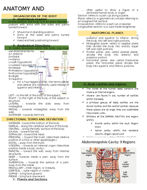 Basic Calculus ( Modules-3rd quarter) - LESSON 1: YOUR ONLY LIMIT IS YOU (LIMIT OF A FUNCTION ...