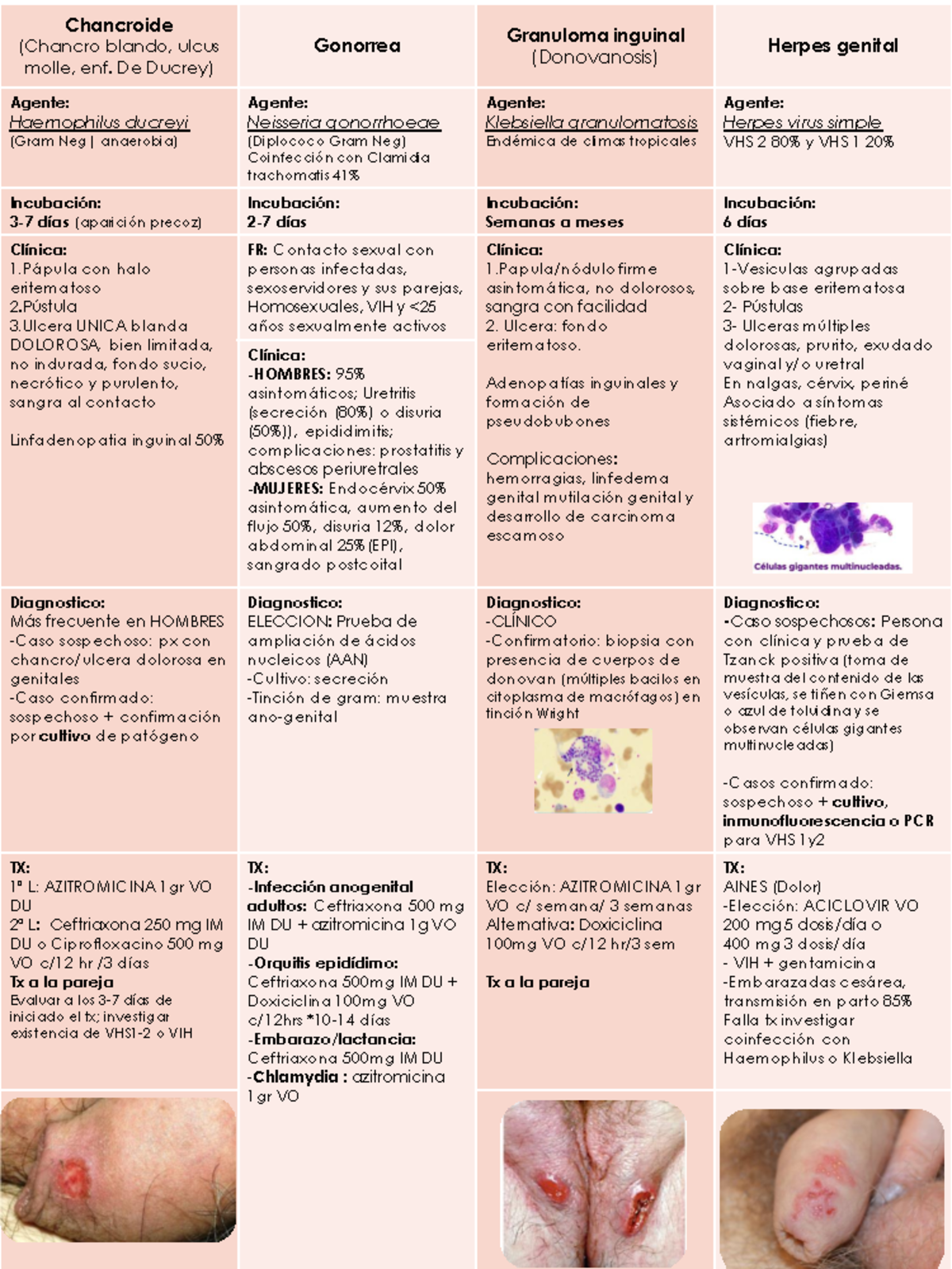 ETS - Resumen Ginecología y obstetricia - Chancroide (Chancro blando ...