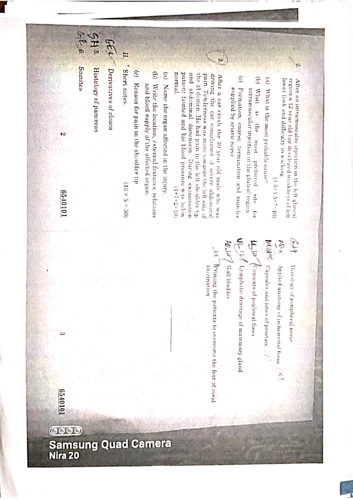 2020 batch university supple paper - 2 After an intramuscular injection ...