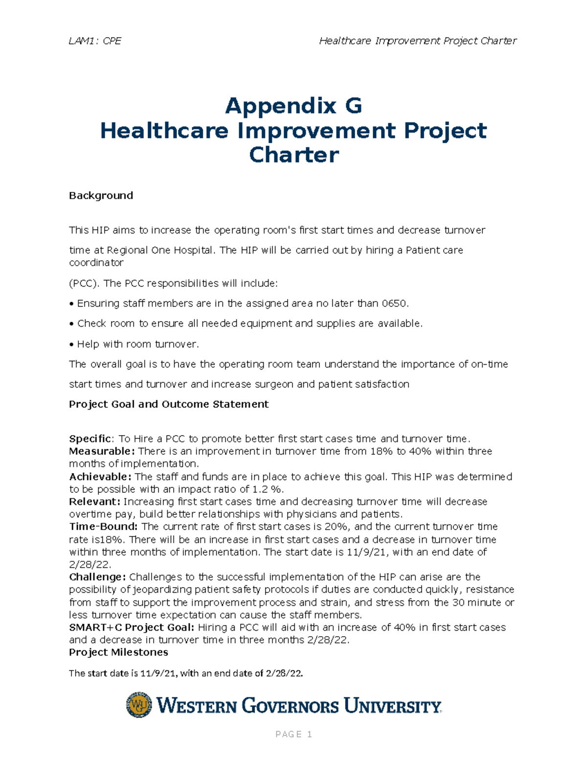 Healthcare Improvement Project Charter - LAM1: CPE Healthcare ...