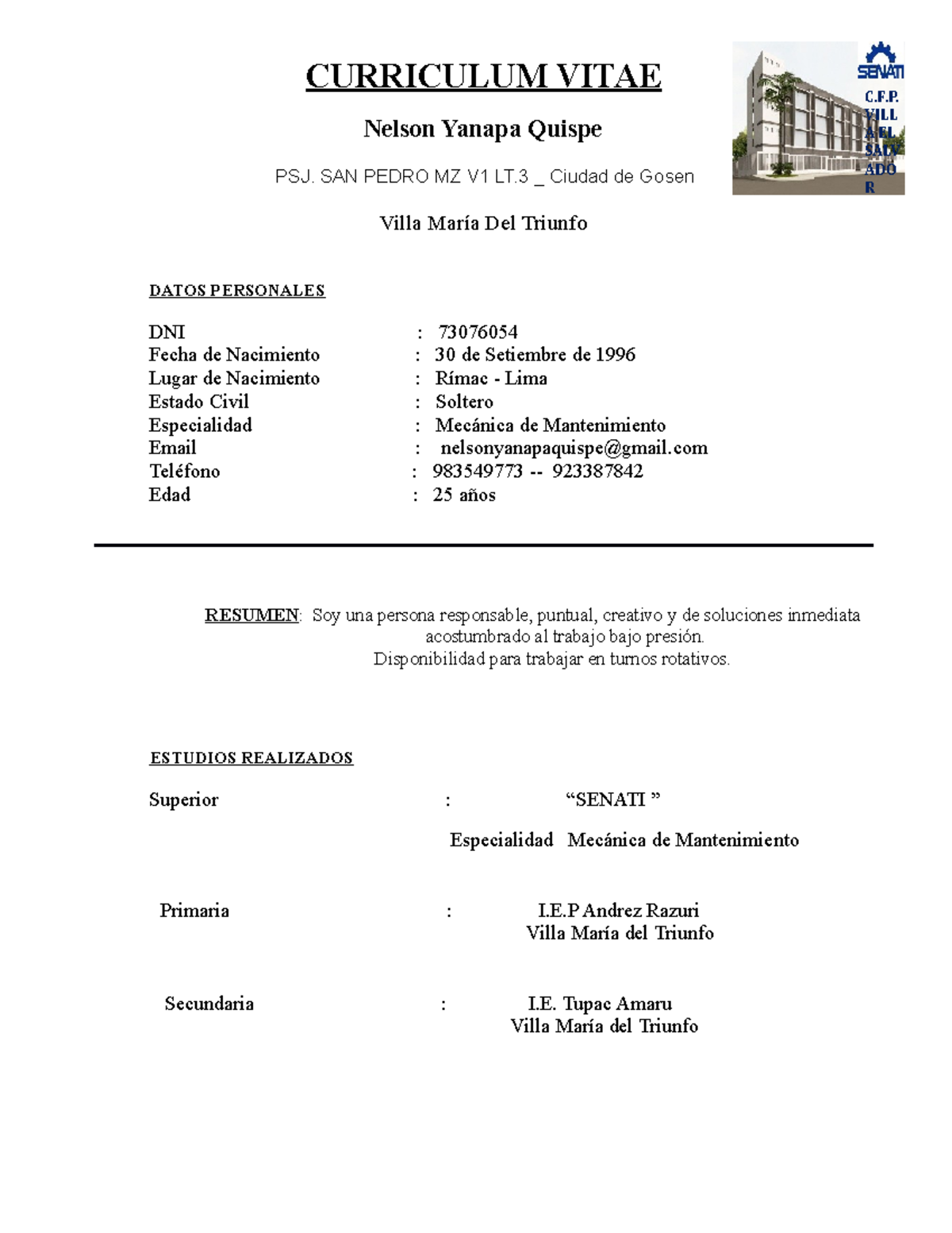 Curriculum actualizado 2023 nelson - CURRICULUM VITAE Nelson Yanapa ...