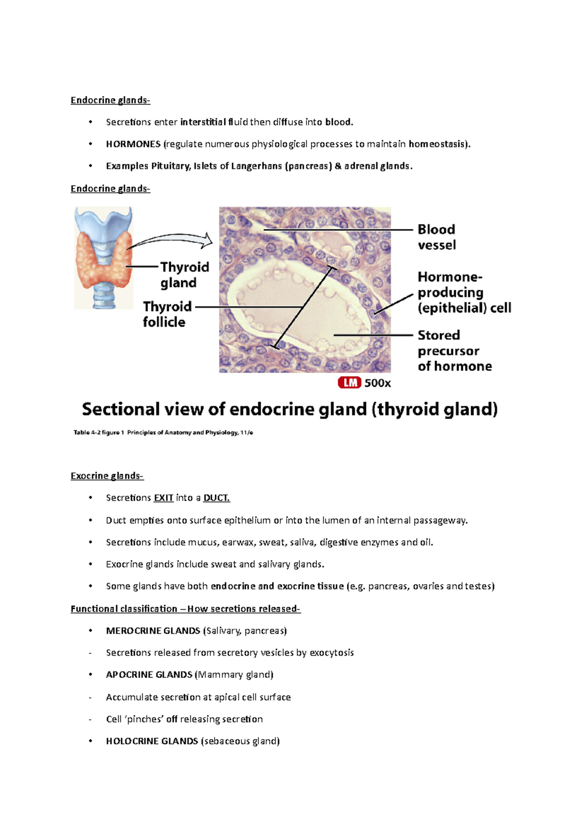 Bio Note 39 - Lecture notes 1-3 - Endocrine glands- Secretions enter ...