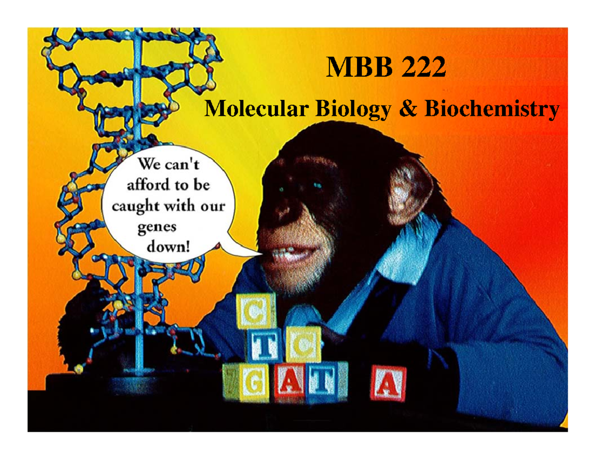 Lecture 1 - intro - MBB 222 Molecular Biology & Biochemistry MBB 222 ...
