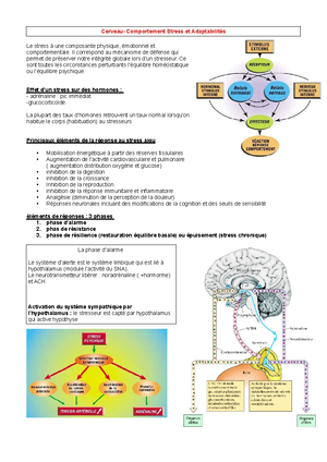 Présentation du Système Nerveux Périphérique - CM - Système Nerveux ...