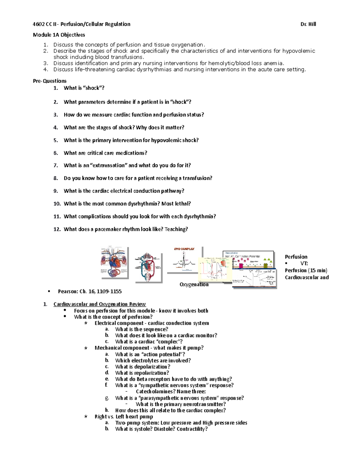 Perfusion - 4602 CC II - Perfusion/Cellular Regulation Dr. Hill Module ...