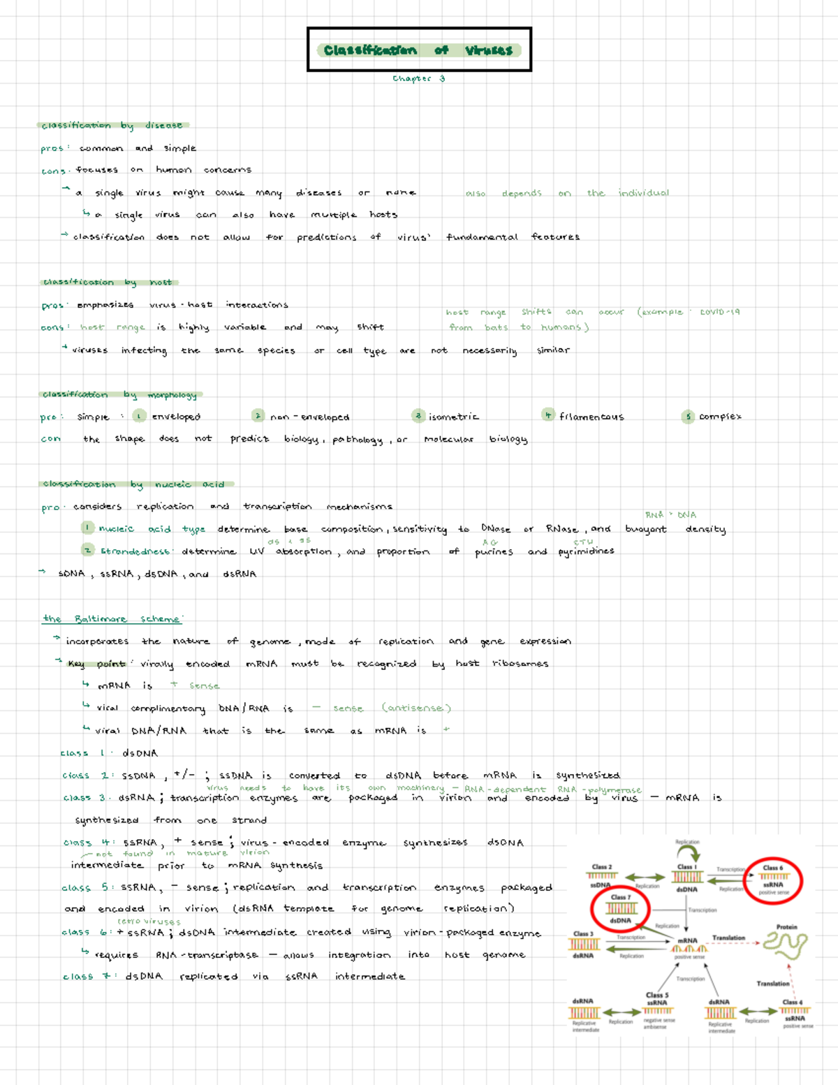 3- Classification of Viruses - Classification of viruses chapter 3 ...