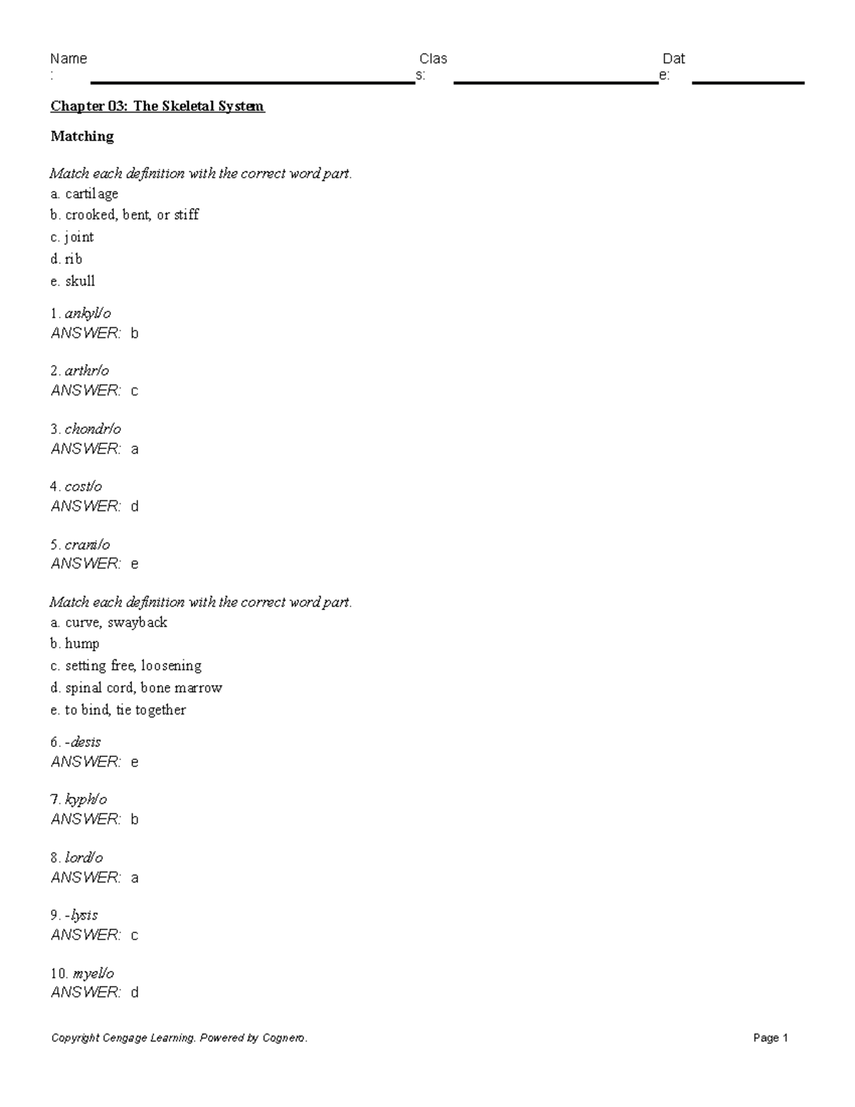 Chapter 03 The Skeletal System - : s: e: Chapter 03: The Skeletal ...