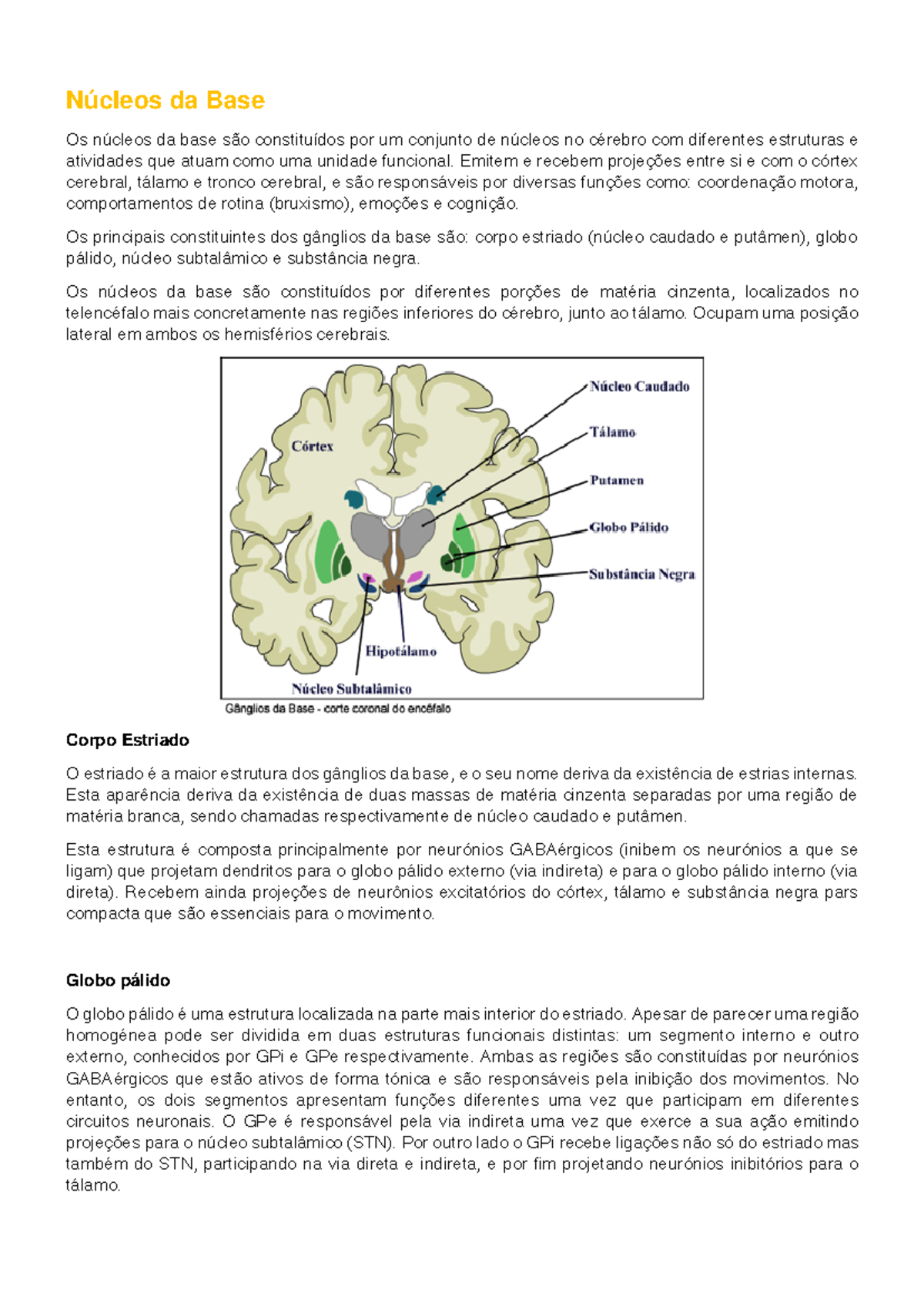 Núcleos DA BASE - Resumo elaborado a partir de aulas e palestras com ...